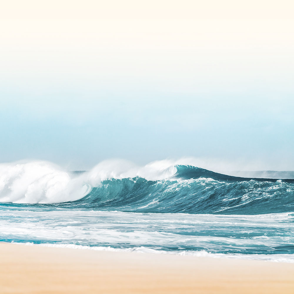 Beach Blend – Lenis Coffee Family – Organic Craft Coffee