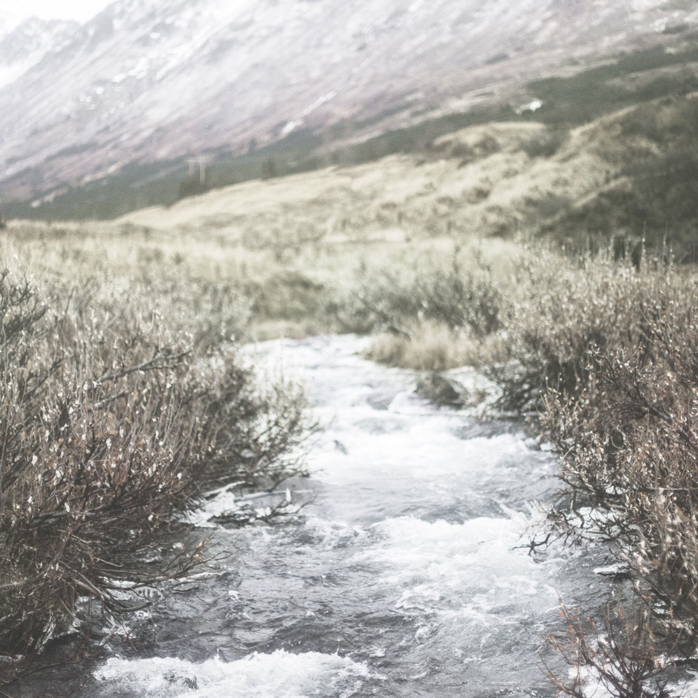 Mountain Drip – Lenis Coffee Family – Organic Craft Coffee